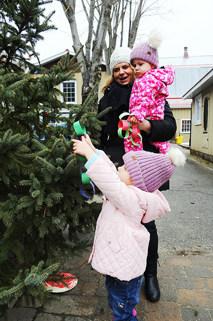 BIA, Lions Club calling on community to help decorate downtown ...