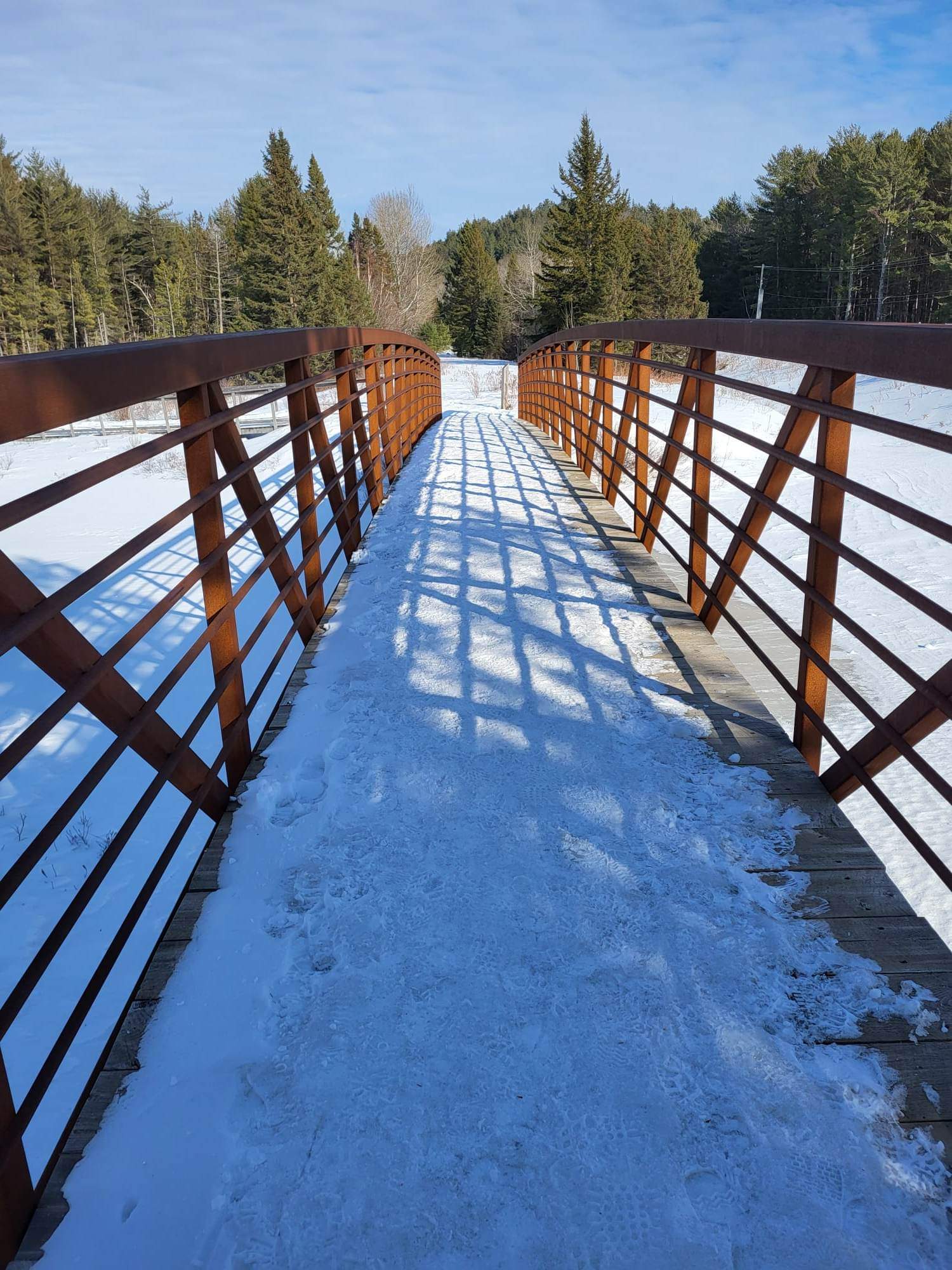 Local high school to benefit from Environmental Summit - Haliburton Echo