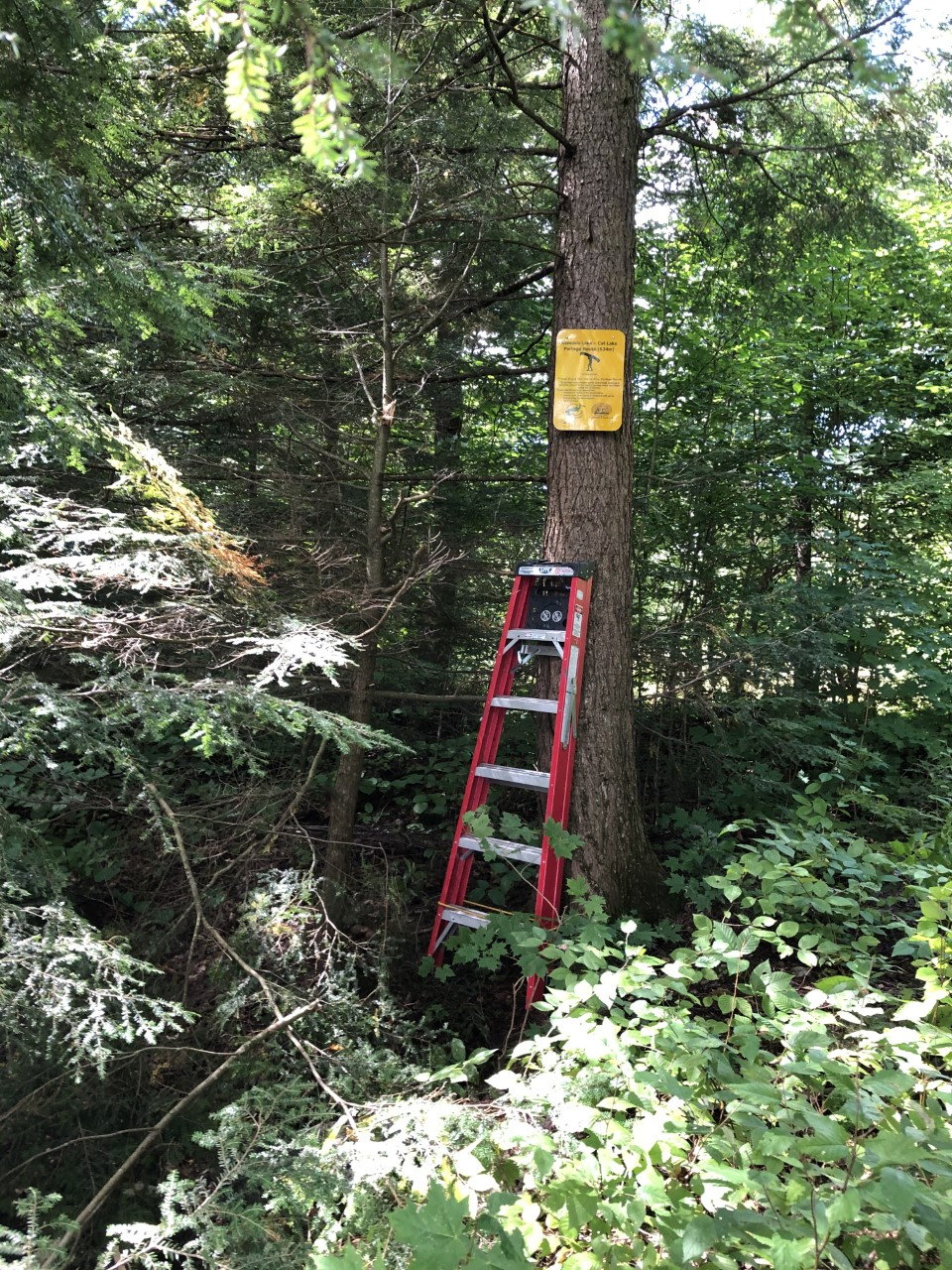 Signs posted declaring portage routes as traditional rights of way ...